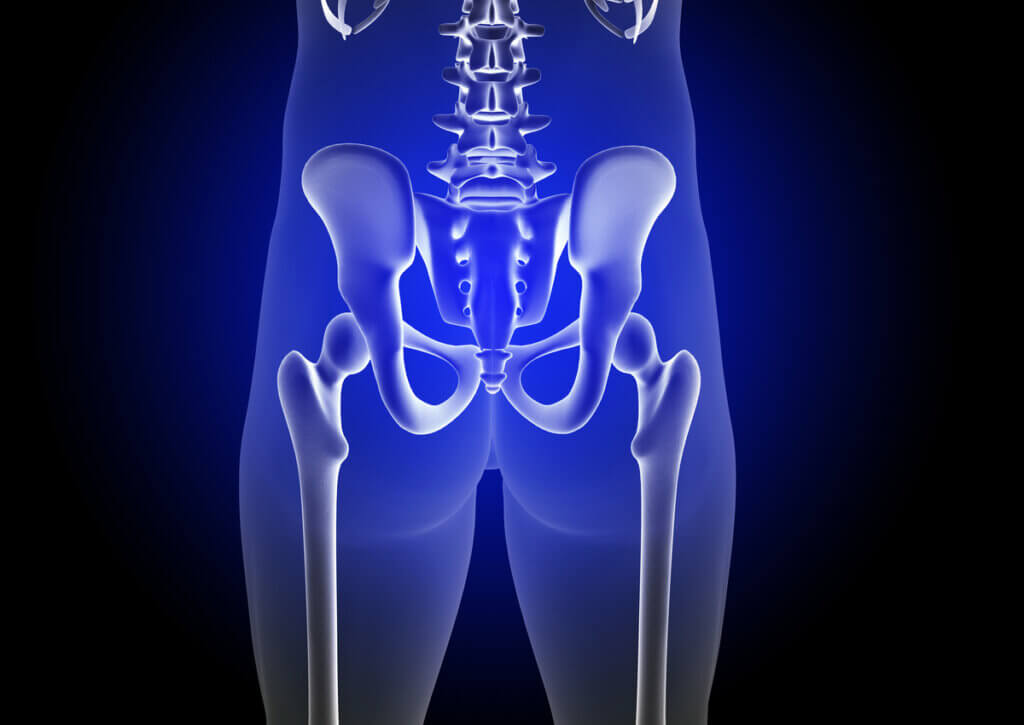 Causas Y Síntomas De La Osteítis Pubis Eres Deportista